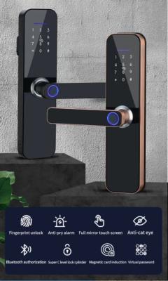 Cina Virtual Password Fingerprint Door Lock Keyless Bluetooth Wifi Biometric Digital For Business in vendita
