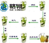 China 1-100ton Automatic Fruit Juice Processing Line Apple Juice 20000lph Beverage Processing Line for sale