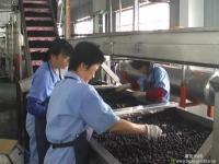 China Customized Capacity Fruit Juice Processing Line Fully Automatic Control for sale