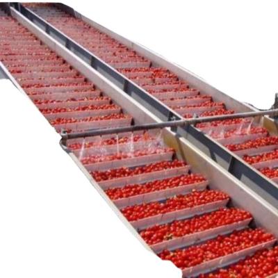 Cina Stainless Steel Apple Juice / Orange Juice / Tomato Sauce Processing Line in vendita