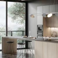 China Back Restaurant Kitchen Cabinets Modern Hotel Integrated Kitchen Unit for sale