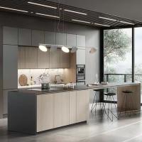 China Back Restaurant Kitchen Cabinets Modern Hotel Integrated Kitchen Unit for sale