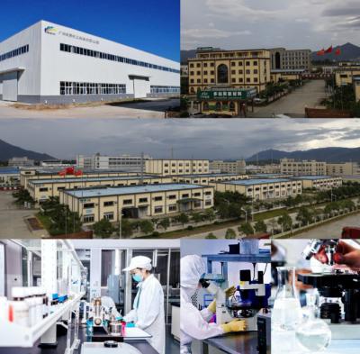 Cina Fabbricazione di Vernici per auto arancioni Topcoat Acrilico Aotu Coat Per la riparazione automobilistica in vendita