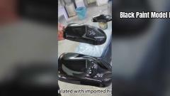 Black Paint Model Effect Display