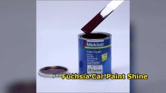 Fuchsia Car Paint: Pro Refinish & Repair