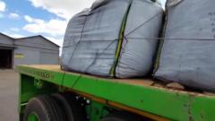 Correias compridas personalizadas para segurar carga a granel de reboque