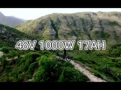 1000w Cargo Fast Fat Tire Electric Bike Motor Brushless 50kmh Velo Cysum M900 Review