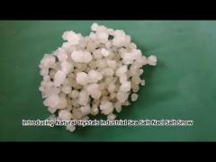 Sea Salt Industrial Salt