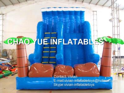 Cina Scivolo gonfiabile tropicale con l'acquascivolo dei bambini della tela cerata del PVC dello stagno/0.55mm in vendita