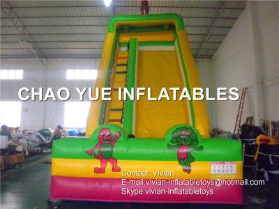 Cina scivolo gonfiabile della tela cerata del PVC di 0.55mm il grande gioca la stampa di Digital per il partito in vendita