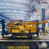 China 132kw Engine Rotary Drilling Rig 600m Depth Crawler Mounted Water Well Drilling Rig for Sale for sale