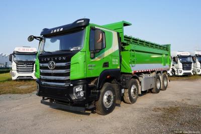 Chine 12 roues moteur diesel LHD RHD 8*4 /6*4 Camion-décharge pour les opérations minières lourdes à vendre