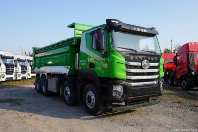Chine 12 roues moteur diesel LHD RHD 8*4 /6*4 Camion-décharge pour les opérations minières lourdes à vendre