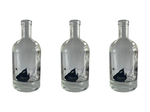 Quality Monochrome Servo Screen Printing Machine Automatic Glass Bottle Screen Printing for sale