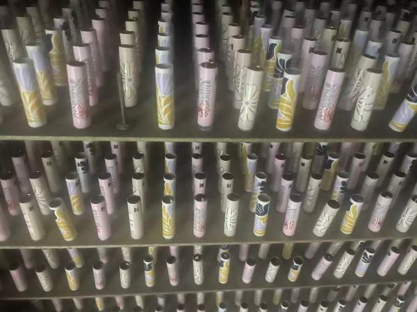 Quality Multifunction Monochrome Servo Screen Printing Machine For Irregular Penholder for sale