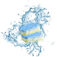 China Dishwasher Tablets 2 Layers Solid Household Power cleaning block for Effective Cleaning for sale