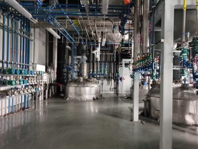 China 2000L Capacity Continuous Plant Oil Extraction Equipment For Industrial Seed Processing for sale
