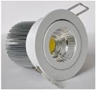China COB 20W Led Ceiling Light for sale