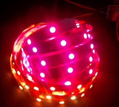 China Epistar Digital led strip light RGB color SMD5050 for sale