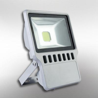 China 45mil Bridgelux led chip 100W outdoor led floodlight for sale