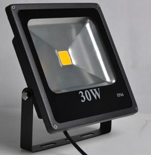 China COB 30W Epistar led floodlight CE&RoHS for sale