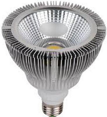 China AC85-265V PAR38 LED spotlight 12W for sale