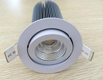 China round shape 10W COB led ceiling light for sale
