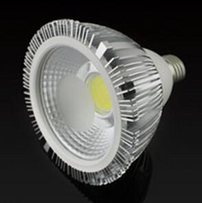 China 15W/18W PAR30/38 COB LED par30 light for sale