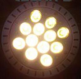 China Pure white color PAR38 12W led spotlight for sale