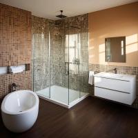 China Durable Shower Room Glass Application With Tempered Glass Float Glass Elements for sale