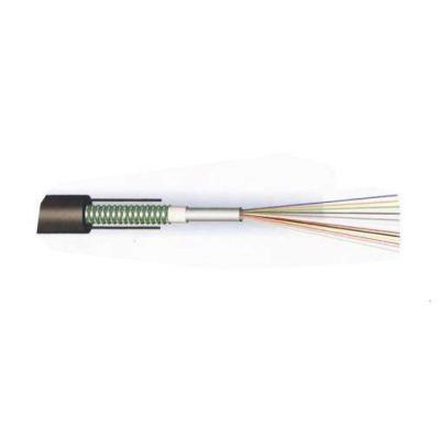 China Outdoor armoured Singlemode Fiber Optic Cable 12 core optical fiber cable for network for sale