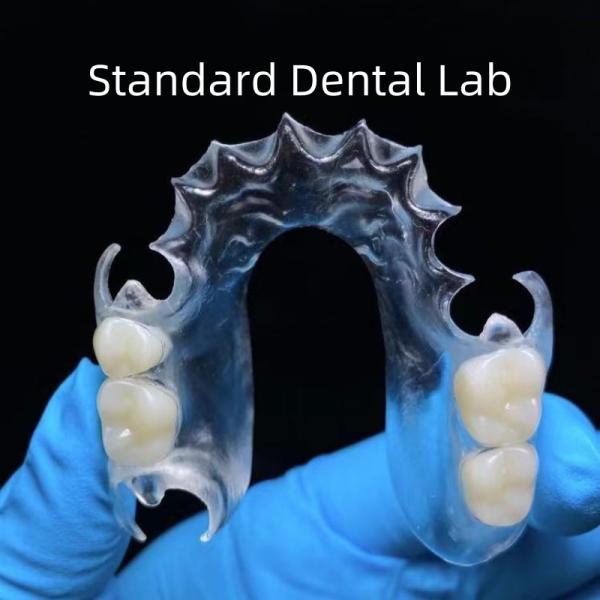Quality Dental Clear TCS Valplast Flexible Dental Partials Standard Dental Laboratory for sale