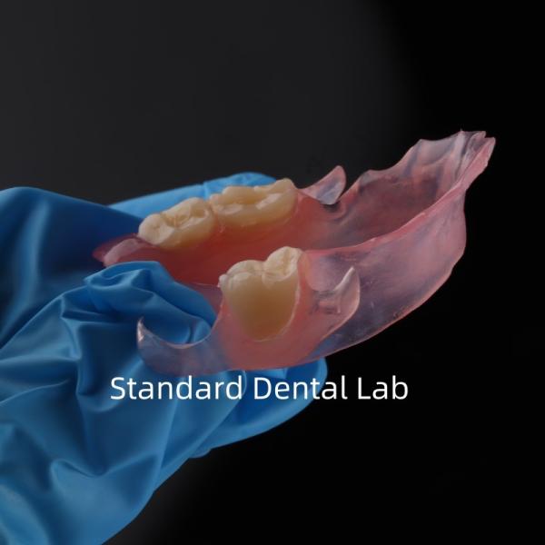 Quality High Esthetics Dental TCS Valplast Flexible Partial Dentures Dental Lab pink for sale