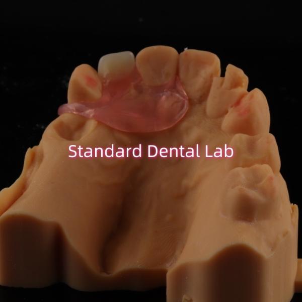 Quality Dental TCS Valplast Flexible Partial Dentures Nesbit Valplast Finish China for sale