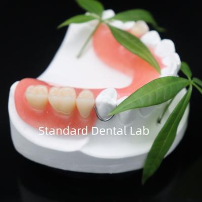China Hoge esthetiek Dentsply Lucitone 199 Acrylprothese acrylhars voor protheses China Tandheelkundige laboratorium for sale