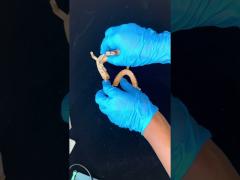 Volledige acrylprothesen met gele gouden tanden/tandheelkundige tijdelijke acrylprothese Ivoclar Professional FDA goedgekeurd