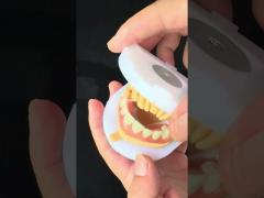 픽 부분 프레임 디자인 ISO CE 및 FDA 치과 연구실 아크릴 부분 치아 프레임