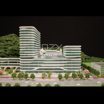 Cina 1/500 Ospedale cinese di Guangzhou Modello stile minimalismo Modello fisico architettonico in vendita