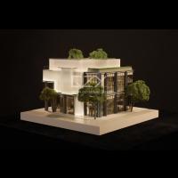 China 1:50 Scale Villa Sales Section Model Handmade ABS Acrylic Metal Wood Realistic Display for sale