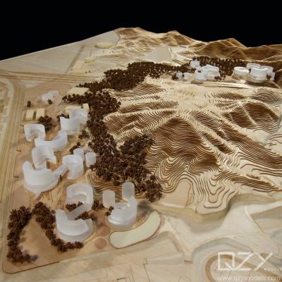 중국 전시 및 학습용 레이저 커팅 목재 예술 스타일의 1:1500 축척 건축 단면 모형 판매용