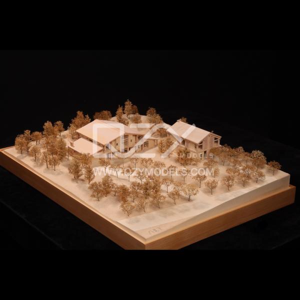 Quality 1:100 Scale Realistic Style Architectural Model with Solid Wood Craftsmanship for sale