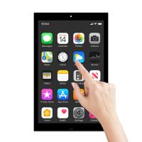 China 10 Inch LCD Module with 1200×1920 Resolution and 350 cd/m² Brightness - IPS Touch Screen Display for sale