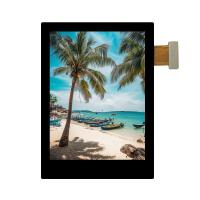 China 2.8 Inch IPS TFT LCD Display 480x640 RGB 24 Bit with PCAP Touch Screen 400cd/m² for sale