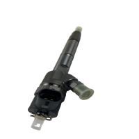 China Processing Custom test Common Rail Injector X191101 Injector diesel Injector Nozzle for sale