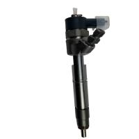 China Processing Custom test Common Rail Injector X191101 Injector diesel Injector Nozzle for sale