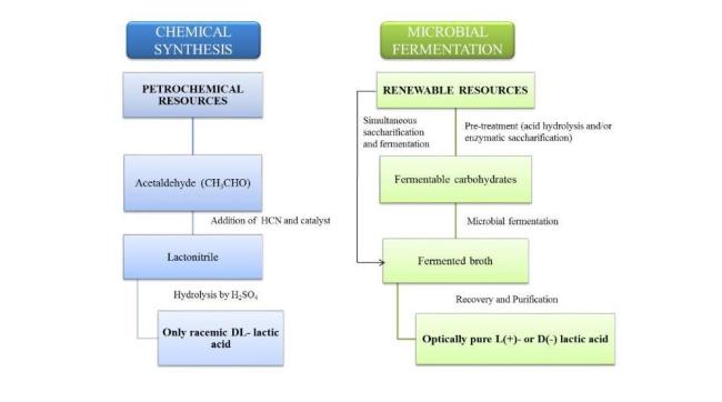 Lactic Acid Production Line Starch Fermentation Lactic Acid Plants