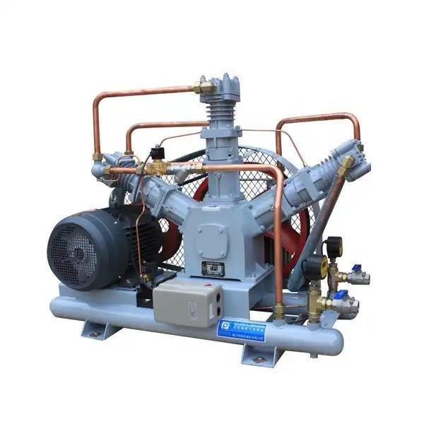 CNG Station Series High Pressure Reciprocating Piston Hydrogen Argon Gas Compressor with Fully Automatic Control