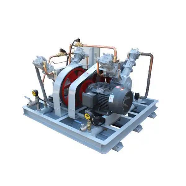 CNG Station Series High Pressure Reciprocating Piston Hydrogen Argon Gas Compressor with Fully Automatic Control