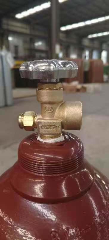 Fire CO2 Cylinder Stainless Steel Gas Cylinder CO2 Fire Fighting Gas Cylinder for Fire System