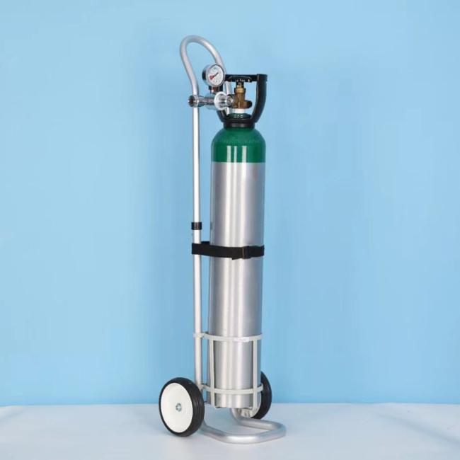 Portable Oxygen Cylinder with Regulator